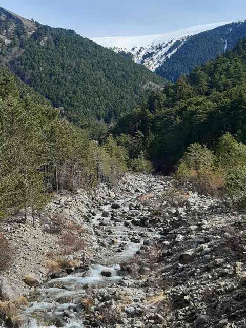 Fuente del Paco Pico de la Selva - Senderos, rutas y paseos en Villanúa